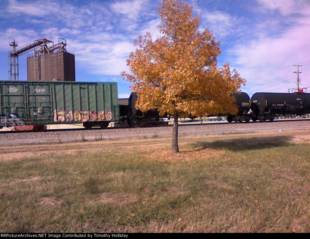 Untitled [www.rrpicturearchives.net]